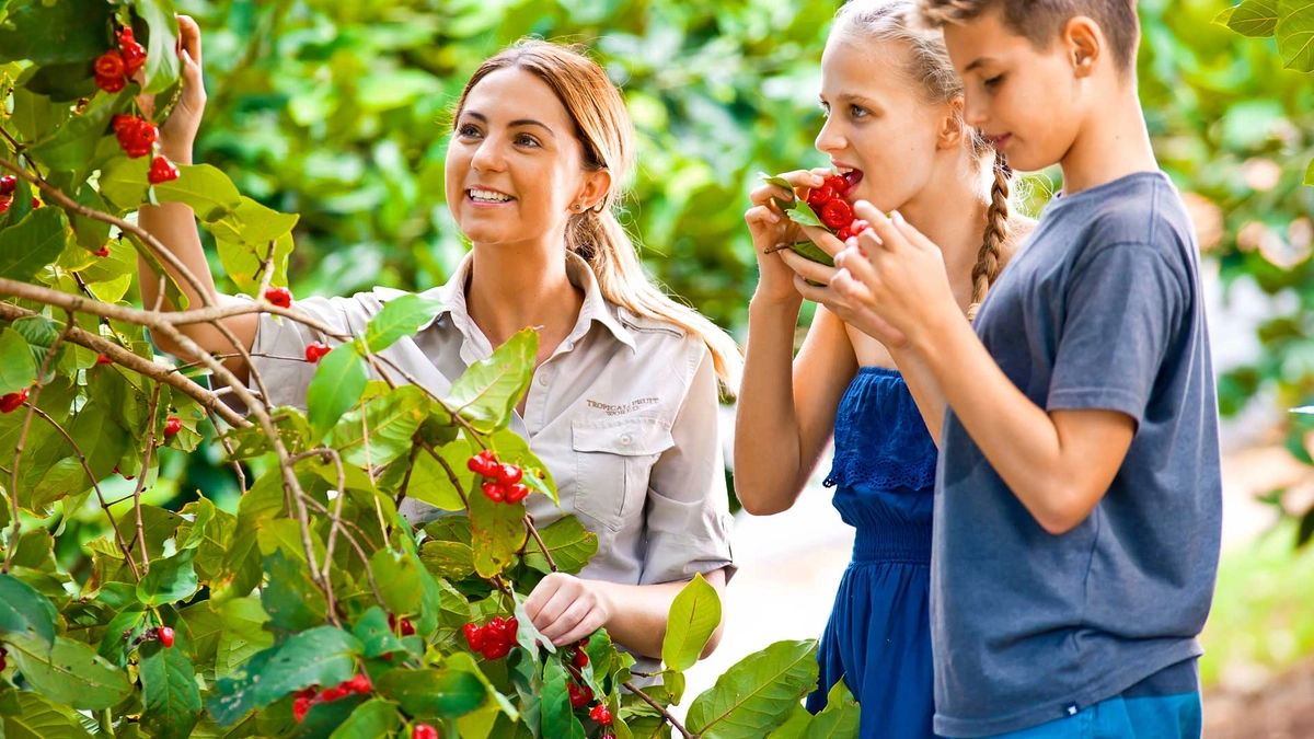 Cảnh báo lừa đảo đưa người lao động đi làm nông nghiệp tại Úc