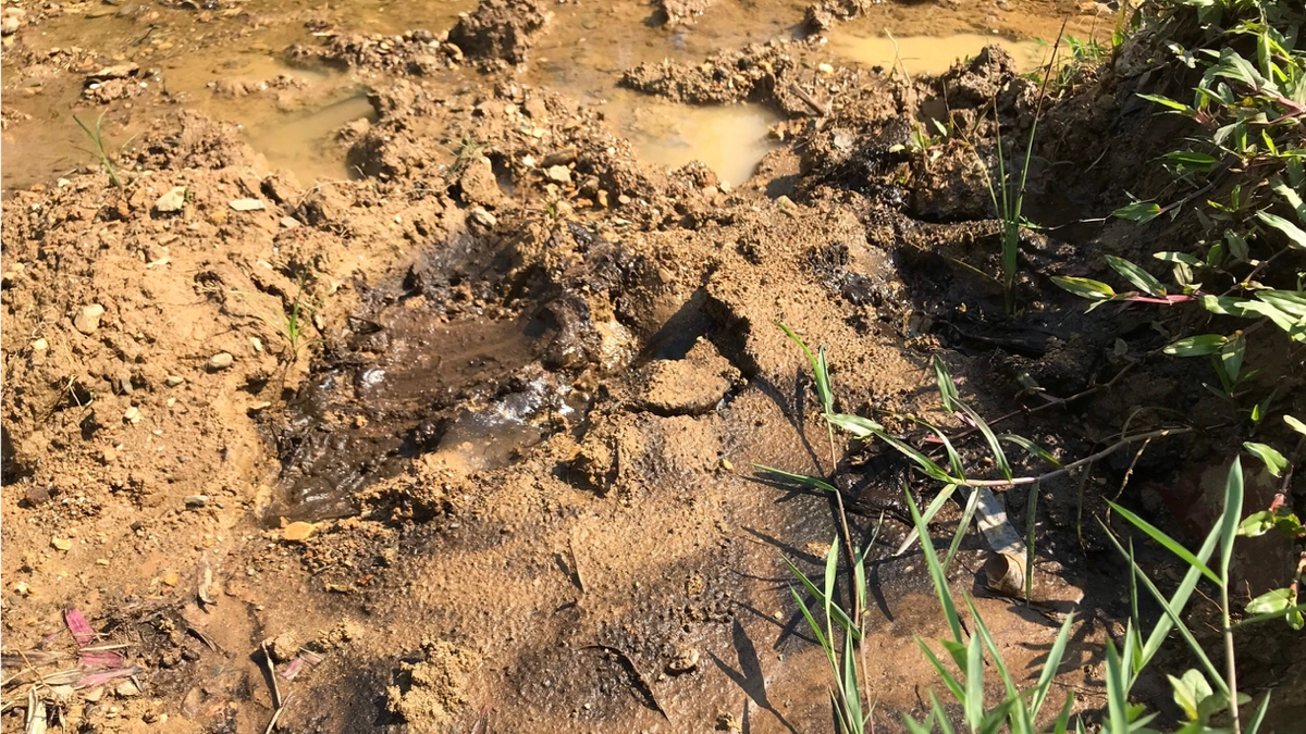 Ô nhiễm môi trường đất: Nguyên nhân, hậu quả và giải pháp