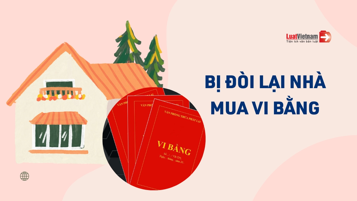 Mua nhà đất qua vi bằng nay bị đòi lại, phải làm sao?