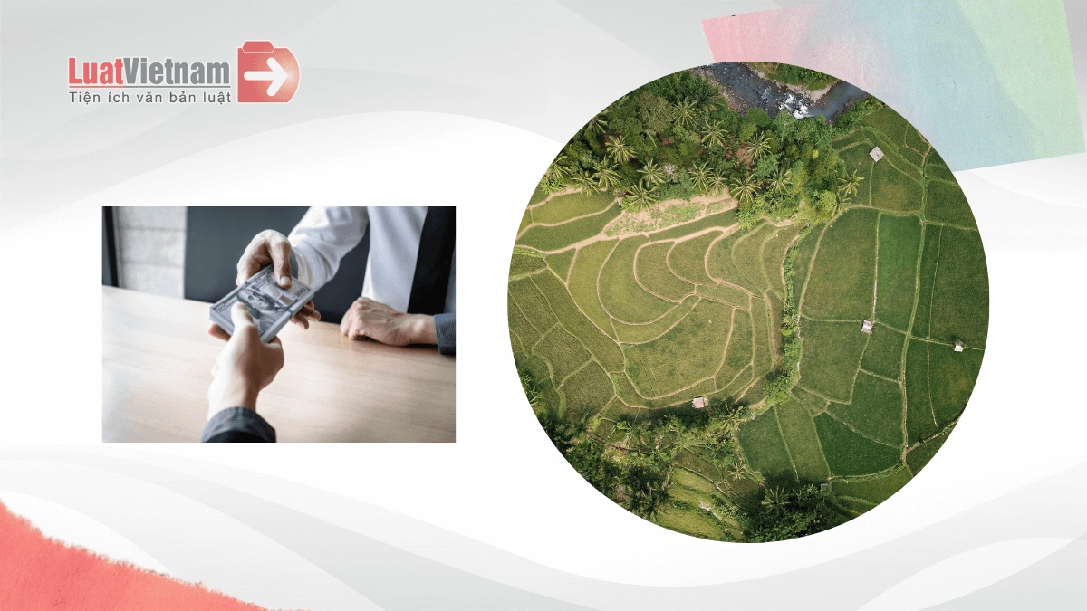 Cách xác định số lợi bất hợp pháp trong lĩnh vực đất đai