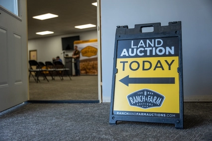 5-year land auction prohibition